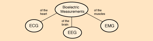 Bioelectric Measurements