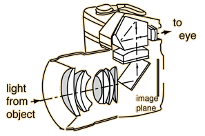 Single Lens Reflex Cameras
